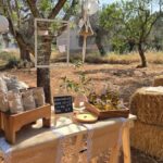 Olive Oil and almond Tour and Tasting: Brindisi, Ostuni - Exploring the Heart of Puglia: The Details of the Experience