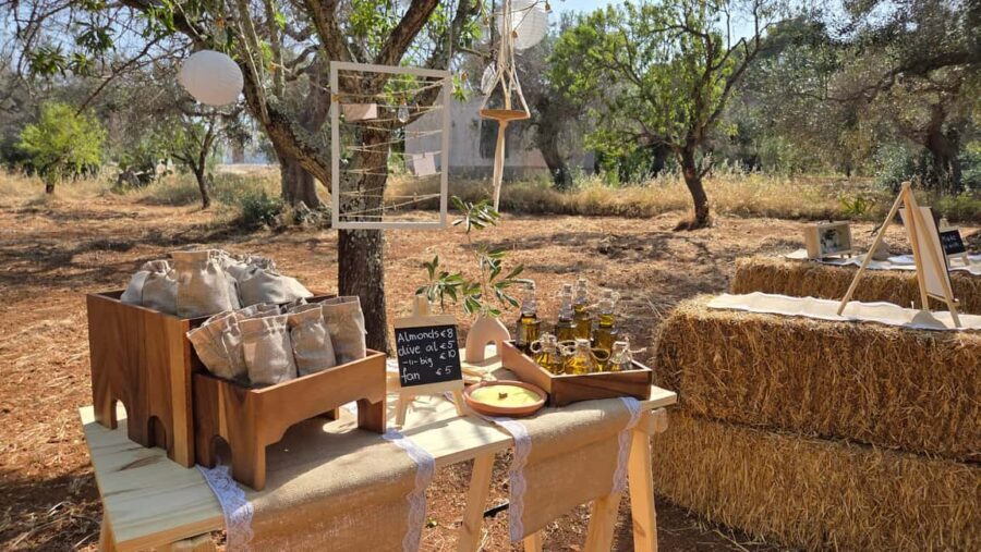Olive Oil and almond Tour and Tasting: Brindisi, Ostuni - Exploring the Heart of Puglia: The Details of the Experience