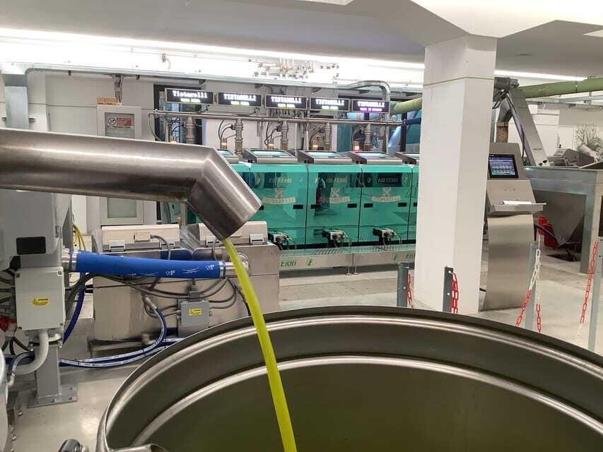 Olive Oil Mill Tour & EVO Oils Tasting - Sarteano, Tuscany - The Guided Tour: What to Expect