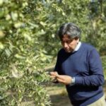 Olive Oil Mill Tour with Tasting near Bari - Who should consider this tour?