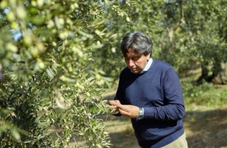Olive Oil Mill Tour with Tasting near Bari - Who should consider this tour?