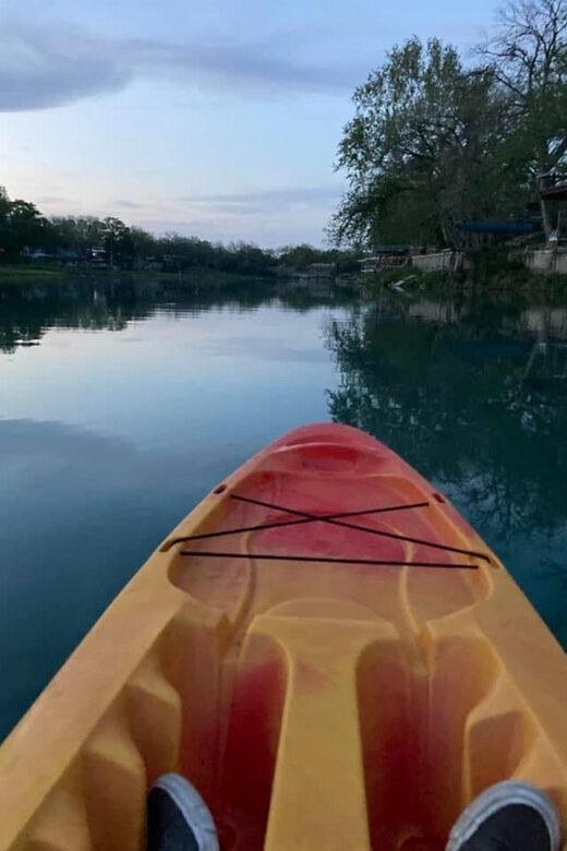 One Hour Daytime Kayak Adventure for single person - Wildlife & Nature Encounters