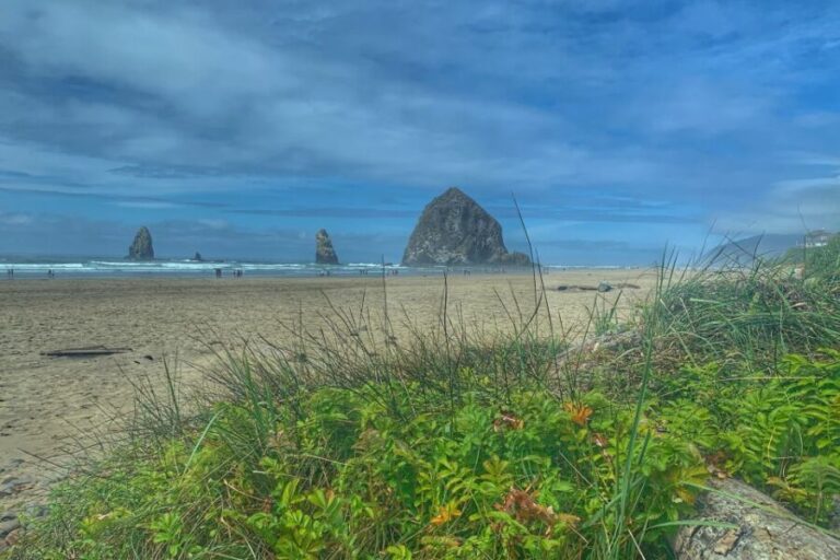 Oregon Coast Day Tour: Cannon Beach and Haystack Rock - A Detailed Look at the Itinerary