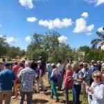Organic olive oil tasting and visit to a family olive grove with fruit and a gift - Practical Details: What to Expect and Considerations