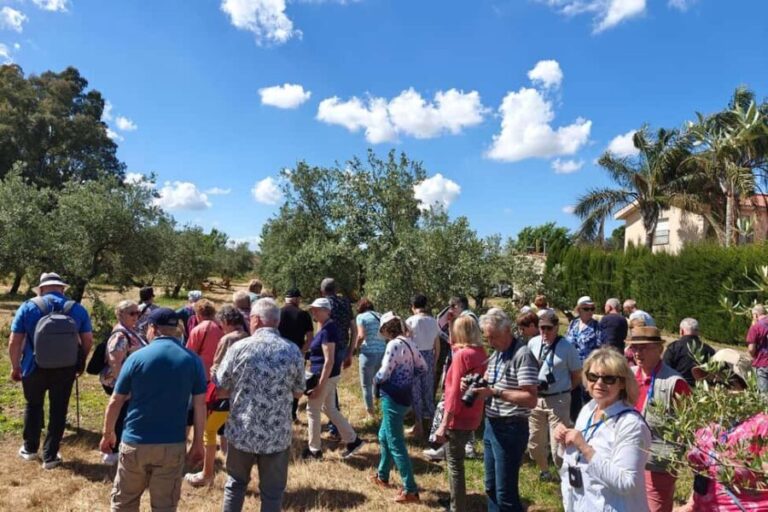 Organic olive oil tasting and visit to a family olive grove with fruit and a gift - Practical Details: What to Expect and Considerations