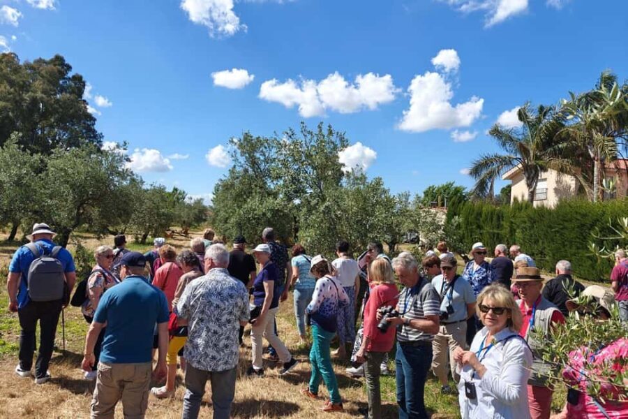 Organic olive oil tasting and visit to a family olive grove with fruit and a gift - Practical Details: What to Expect and Considerations