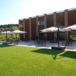 Organic Winery Visit with Wine & Food Tasting in Bologna - The Itinerary: What to Expect