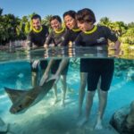 Orlando: Discovery Cove Admission Ticket & Additional Parks - The Highlights: Why Visitors Keep Coming Back