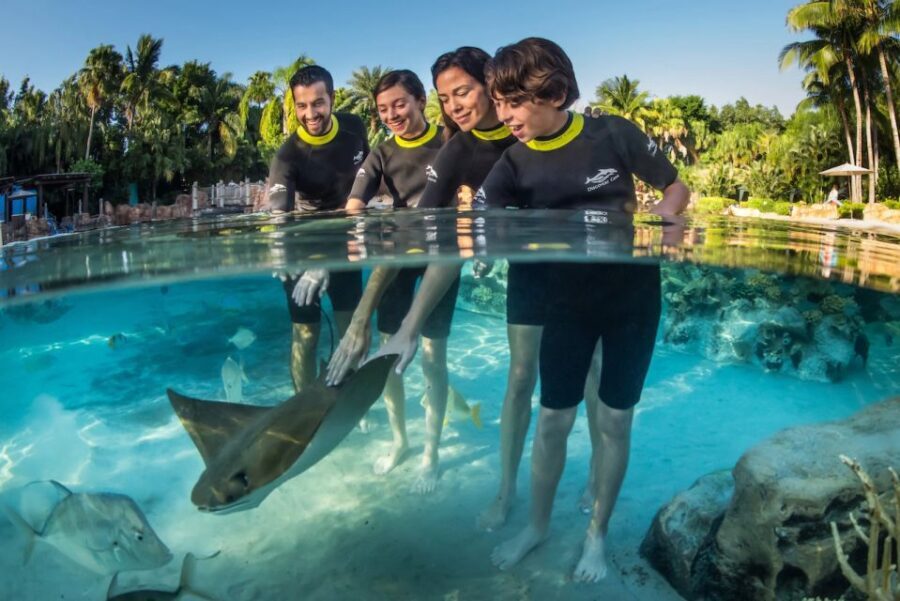 Orlando: Discovery Cove Admission Ticket & Additional Parks - The Highlights: Why Visitors Keep Coming Back