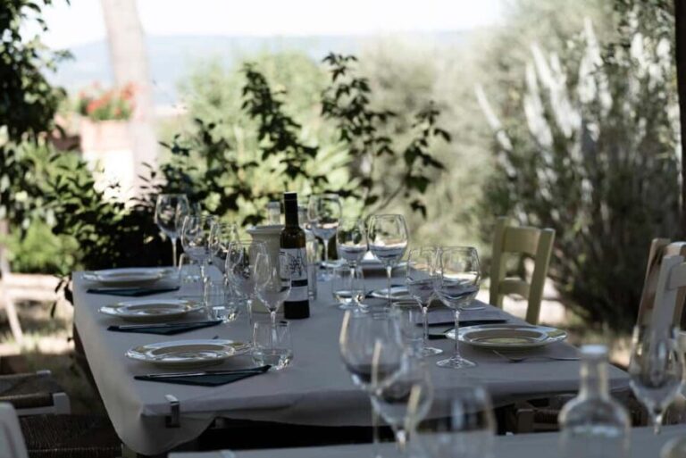 Orvieto: Classic Wine Tasting at Madonna del Latte - The Itinerary: A step-by-step look at what to expect
