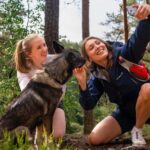 Oslo: Forest Hike with Guide & Husky - Exploring the Forest: What to Expect