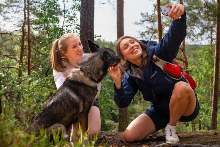 Oslo: Forest Hike with Guide & Husky - Exploring the Forest: What to Expect
