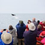 Otago Peninsula Wildlife Cruise with Monarch - An In-Depth Look at the Otago Peninsula Wildlife Cruise