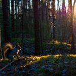 Oulu: Guided Fatbike Tour From Nallikari Around Hietasaari - Detailed Itinerary Breakdown