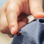 Oulu: Hietasaari Family Nature Walk with Picnic - Is It Worth the Price?