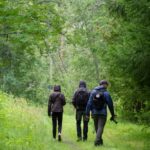 Oulu: Hietasaari Wildlife Hike with Nature Guide - Final Thoughts