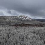 Överkalix - Lapland : Arctic Circle and Waterfall Day Tour - The Culinary Experience: Swedish Fika and Lunch Options