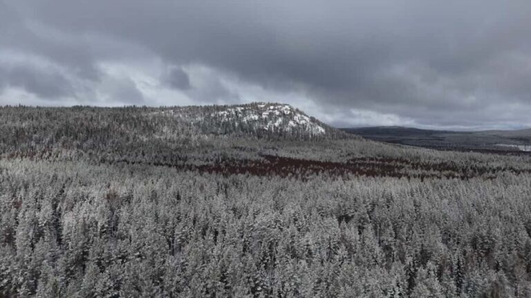 Överkalix - Lapland : Arctic Circle and Waterfall Day Tour - The Culinary Experience: Swedish Fika and Lunch Options