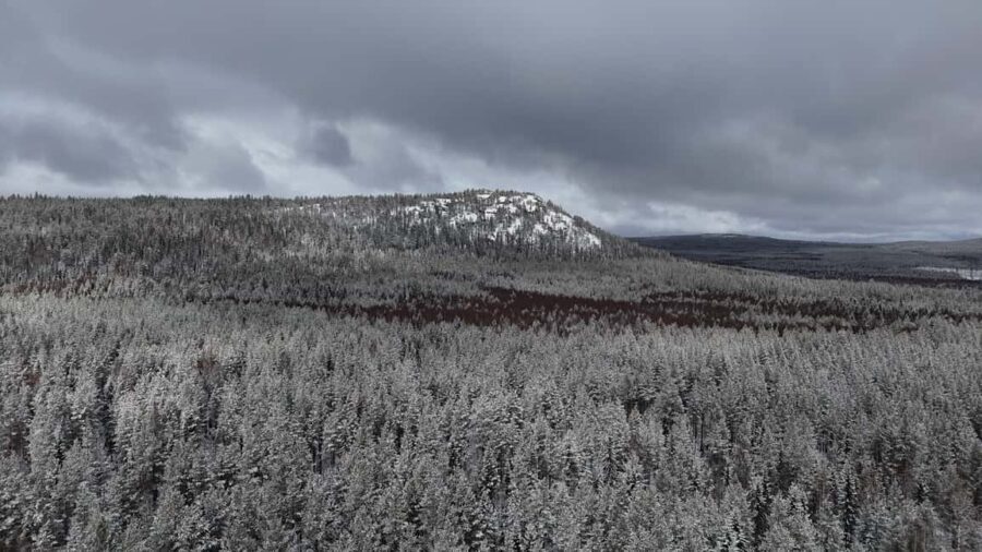 Överkalix - Lapland : Arctic Circle and Waterfall Day Tour - The Culinary Experience: Swedish Fika and Lunch Options