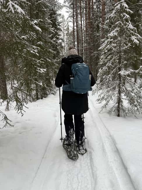 Överkalix - Lapland : Full-Day Snowshoe Tour with Lunch - What the Experience Feels Like