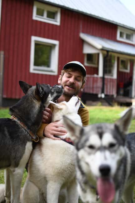 Överkalix - Lapland : Husky Cuddle and Fika Experience - What You Can Expect: A Detailed Breakdown