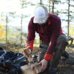 Överkalix - Lapland : Private Summer Hike with Lunch - Practical Details and What to Prepare