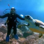 PADI Discover Scuba Diving Course in Tenerife - The Itinerary Breakdown: What You’ll Experience