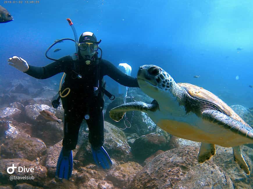 PADI Discover Scuba Diving Course in Tenerife - The Itinerary Breakdown: What You’ll Experience