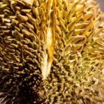 Palma de Mallorca: Disgusting Food Museum Entry Ticket - Authentic Visitor Experiences