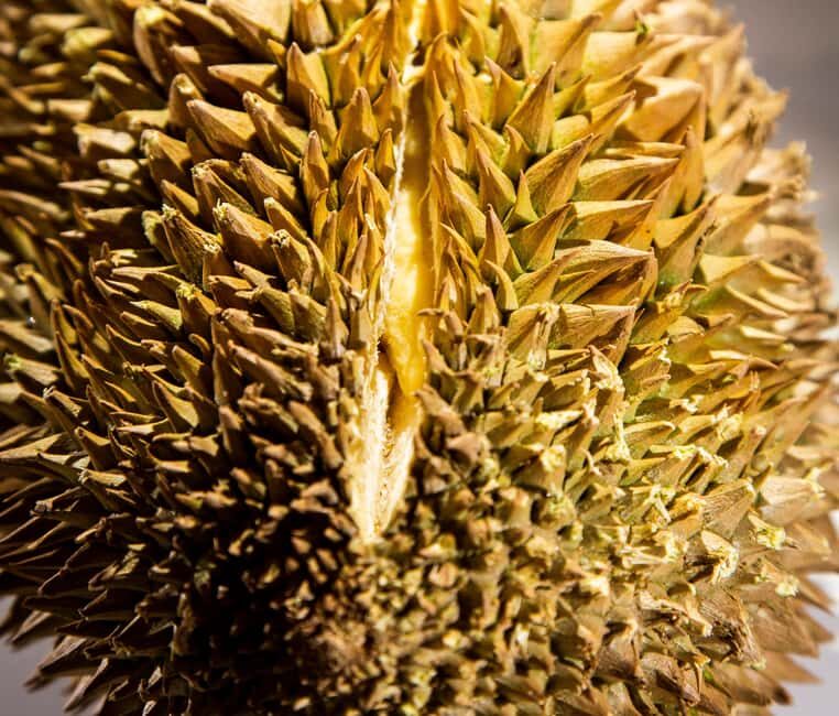 Palma de Mallorca: Disgusting Food Museum Entry Ticket - Authentic Visitor Experiences