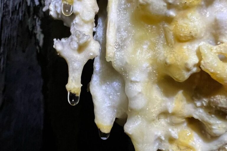 Palma de Mallorca: Es Marmols Cave Tour - Detailed Itinerary and Experience