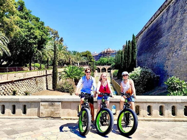 Palma de Mallorca: Exclusive Fat Tire e-Bike Rental - What to Expect on Your e-Bike Ride