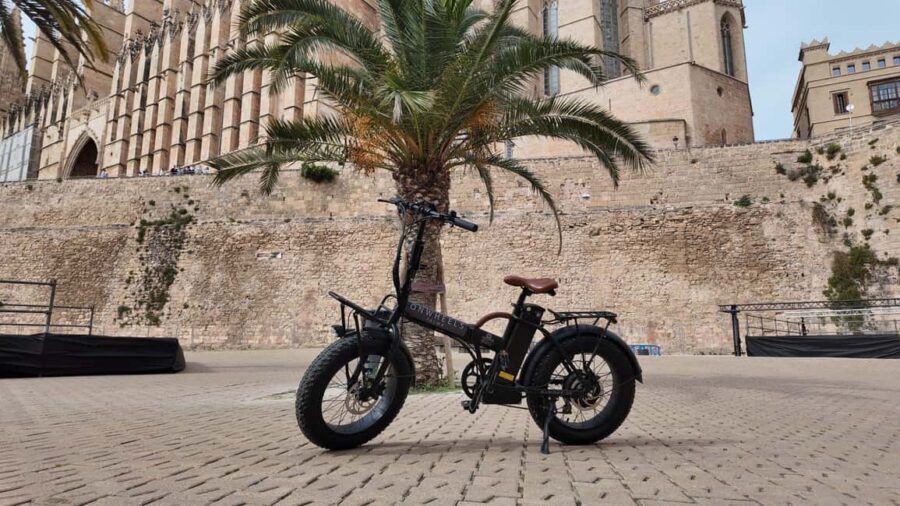 Palma: Exclusive City Highlights E-Bike Tour - A Detailed Look at Palma’s Exclusive E-Bike Tour