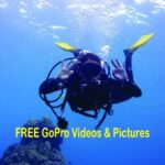 Panama City Beach: Beginners Scuba Diving Tour - Itinerary Breakdown: What to Expect