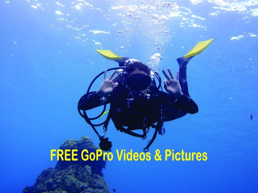 Panama City Beach: Beginners Scuba Diving Tour - Itinerary Breakdown: What to Expect