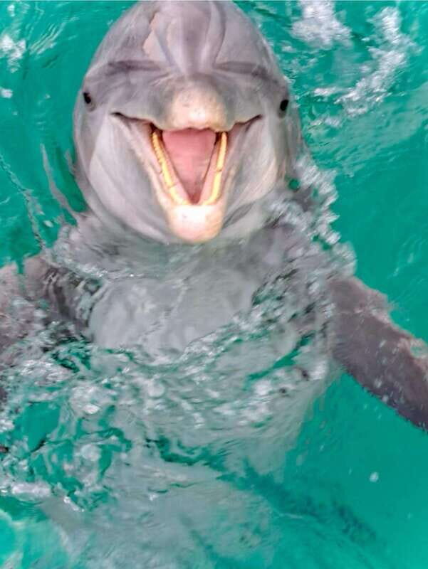 Panama City Beach: Private Dolphin Cruise - The Itinerary and What Makes Each Stop Special