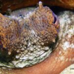 Paros: Scuba Diving Experience - The Experience Quality & Value
