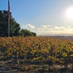 Paso Robles & Atascadero: 3-Winery Tour Including Lunch - An In-Depth Look at the Itinerary