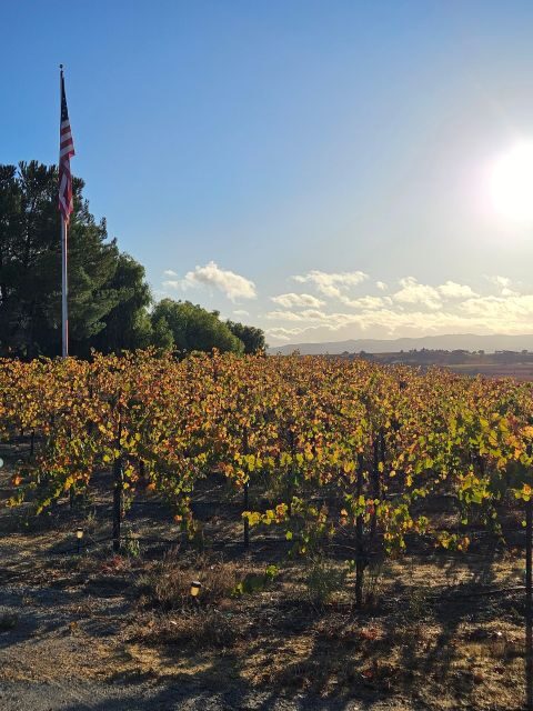 Paso Robles & Atascadero: 3-Winery Tour Including Lunch - An In-Depth Look at the Itinerary