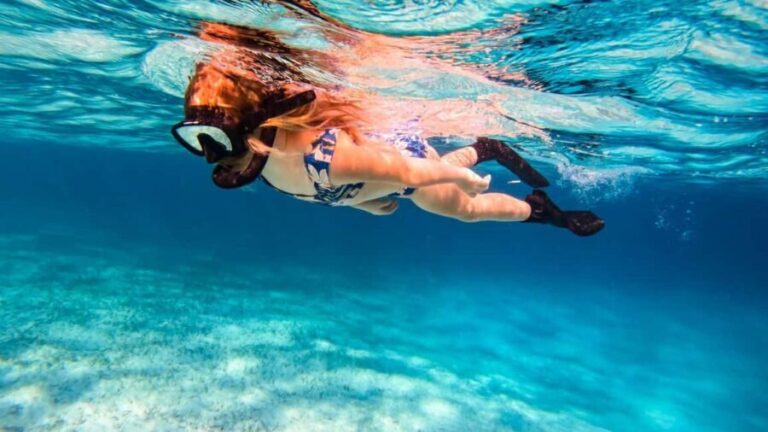 Pefkochori: Snorkeling Trip in Halkidiki-Kassndra - Why This Tour Works