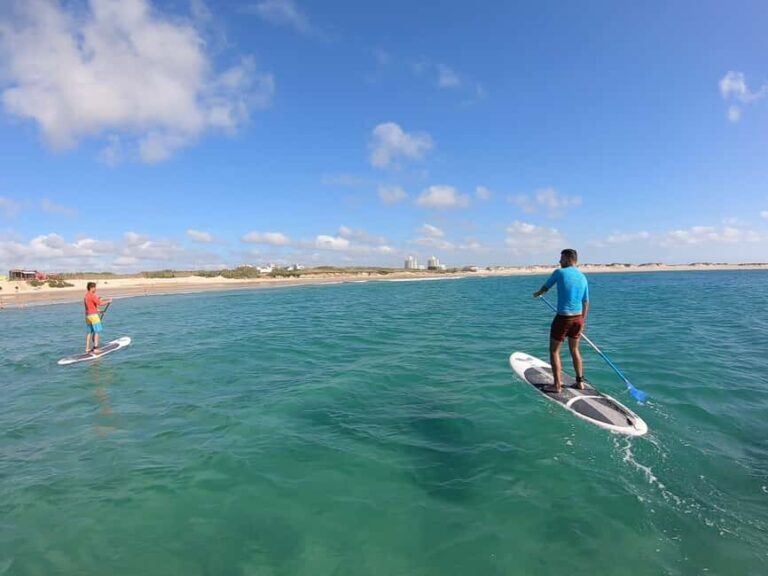 Peniche: SUP Wave Lesson - Who This Experience Is Best For
