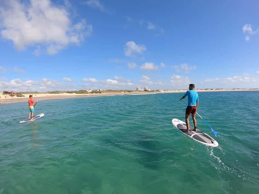Peniche: SUP Wave Lesson - Who This Experience Is Best For