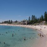 Perth and Fremantle Half Day Tour - A Complete Guide to the Perth and Fremantle Half-Day Tour