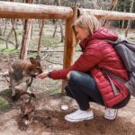Phillip Island Penguins & Wildlife Day Tour from Melbourne - Final thoughts on value and suitability