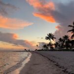 Phone photography - The Itinerary: What to Expect
