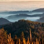Photo tour through the Black Forest  the highlights - The Itinerary: What to Expect from Dawn to Dusk