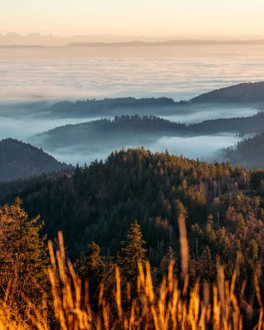 Photo tour through the Black Forest  the highlights - The Itinerary: What to Expect from Dawn to Dusk