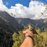 Pico do Arieiro in 4h: Immersive Private Jeep Experience - The Practical Side: What’s Included and What’s Not