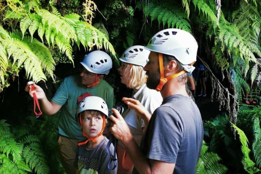 Pico Island: Private Highlights Tour - Authenticity and Authentic Experiences