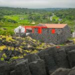 Pico Island: Wine and Vineyards Tour with Tasting - Practicalities and Value